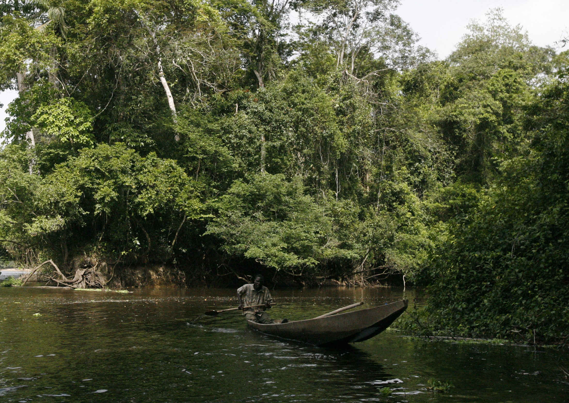 POLLUTION - Ivory Coast: 185 people poisoned after mining pollution in ...