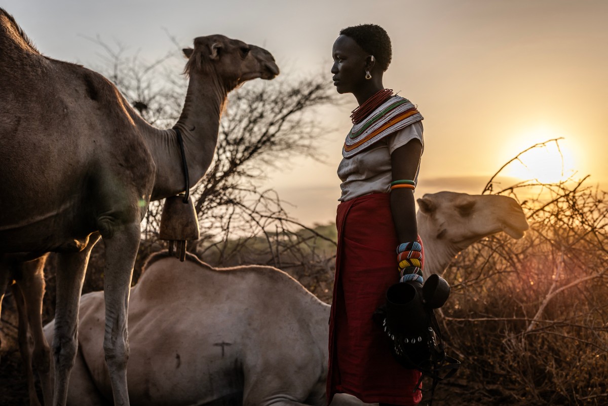 𝐃𝐚𝐧𝐬 𝐥𝐞 𝐧𝐨𝐫𝐝 𝐝𝐮 𝐊𝐞𝐧𝐲𝐚 𝐟𝐫𝐚𝐩𝐩𝐞́ 𝐩𝐚𝐫 𝐥𝐞 𝐜𝐡𝐚𝐧𝐠𝐞𝐦𝐞𝐧𝐭 𝐜𝐥𝐢𝐦𝐚𝐭𝐢𝐪𝐮𝐞, 𝐥𝐞𝐬 𝐝𝐫𝐨𝐦𝐚𝐝𝐚𝐢𝐫𝐞𝐬 𝐫𝐞𝐦𝐩𝐥𝐚𝐜𝐞𝐧𝐭 𝐥𝐞𝐬 ...